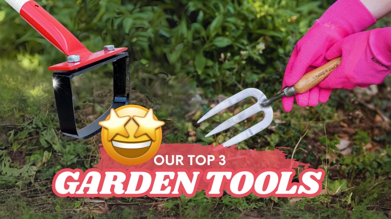 Three garden tools that everyone should have